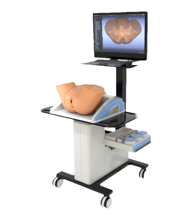Pelvic Mentor | Pelvic Exam Training Simulation | Phantasim